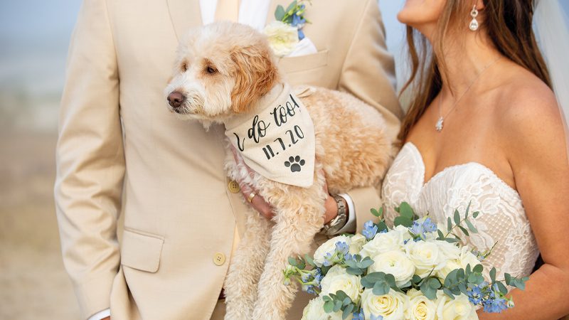 Pets In Weddings - Best Doggone Day Ever - OBX Wedding Guide 2021
